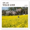 고창 학원농장 청보리밭축제 드라마 도깨비 촬영지로 유명 핫플 여행지 네이버 블로그